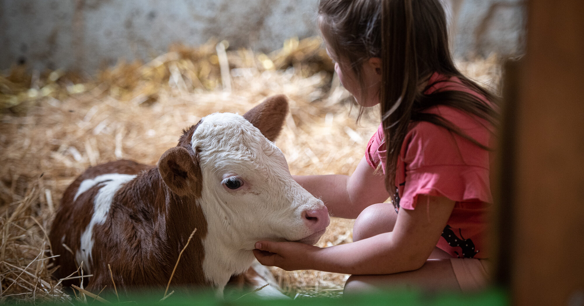 Our farm - Farm Holidays Mair am Tinkhof in South Tyrol